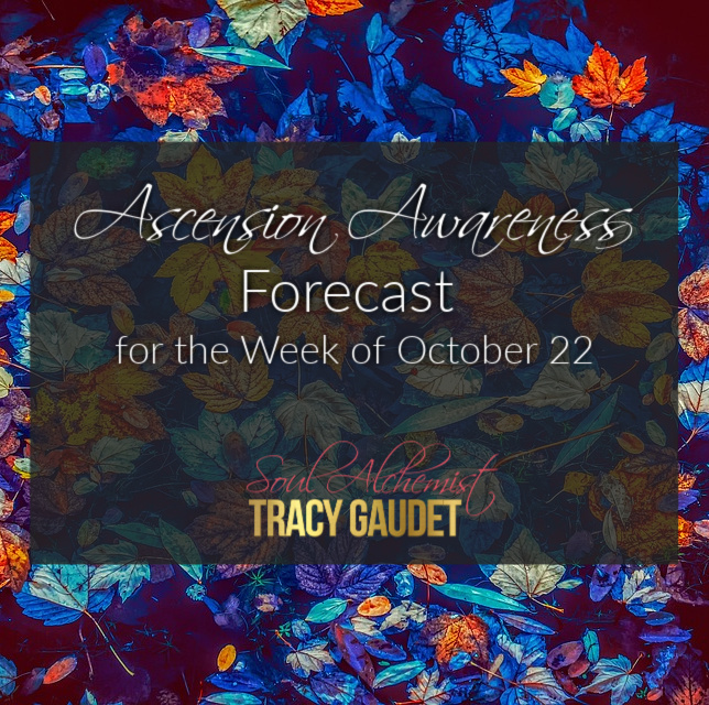 Physical Ascension Workshop - TRACY GAUDET Practical Ascension Guide