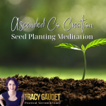Ascended Co Creation Seed Planting Meditation - TRACY GAUDET Practical Ascension Guide